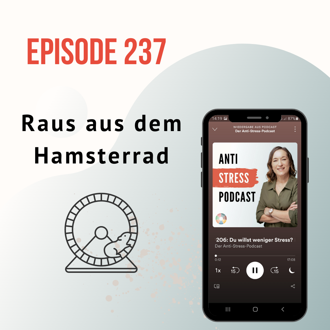 Raus aus dem Hamsterrad - Impulse für weniger Stress