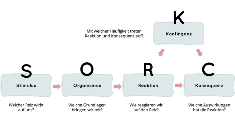 Das SORKC-Modell aus der Verhaltensanalyse einfach erklärt