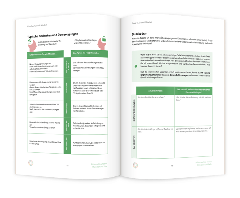 Selbstcoaching-Toolkit Ziele und Motivation - Anti-Stress-Team