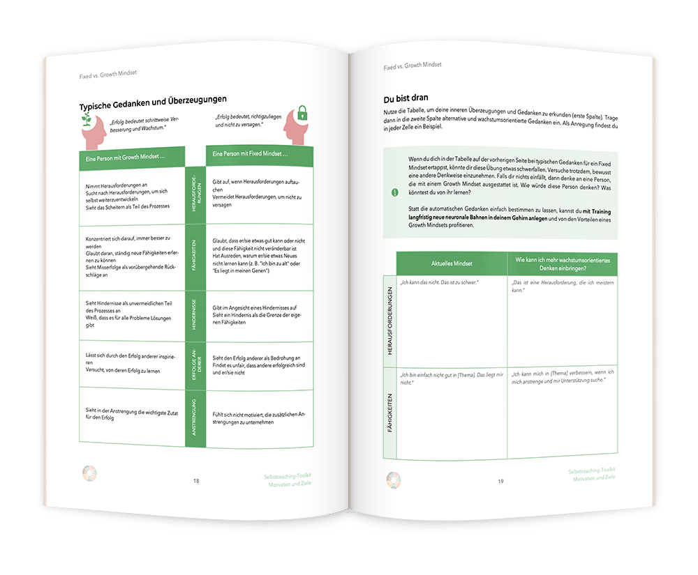 Selbstcoaching-Toolkit Ziele und Motivation - Anti-Stress-Team
